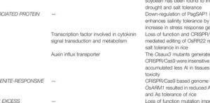How To Use A Bowl Gouge Correctly: Master Woodturning Today!